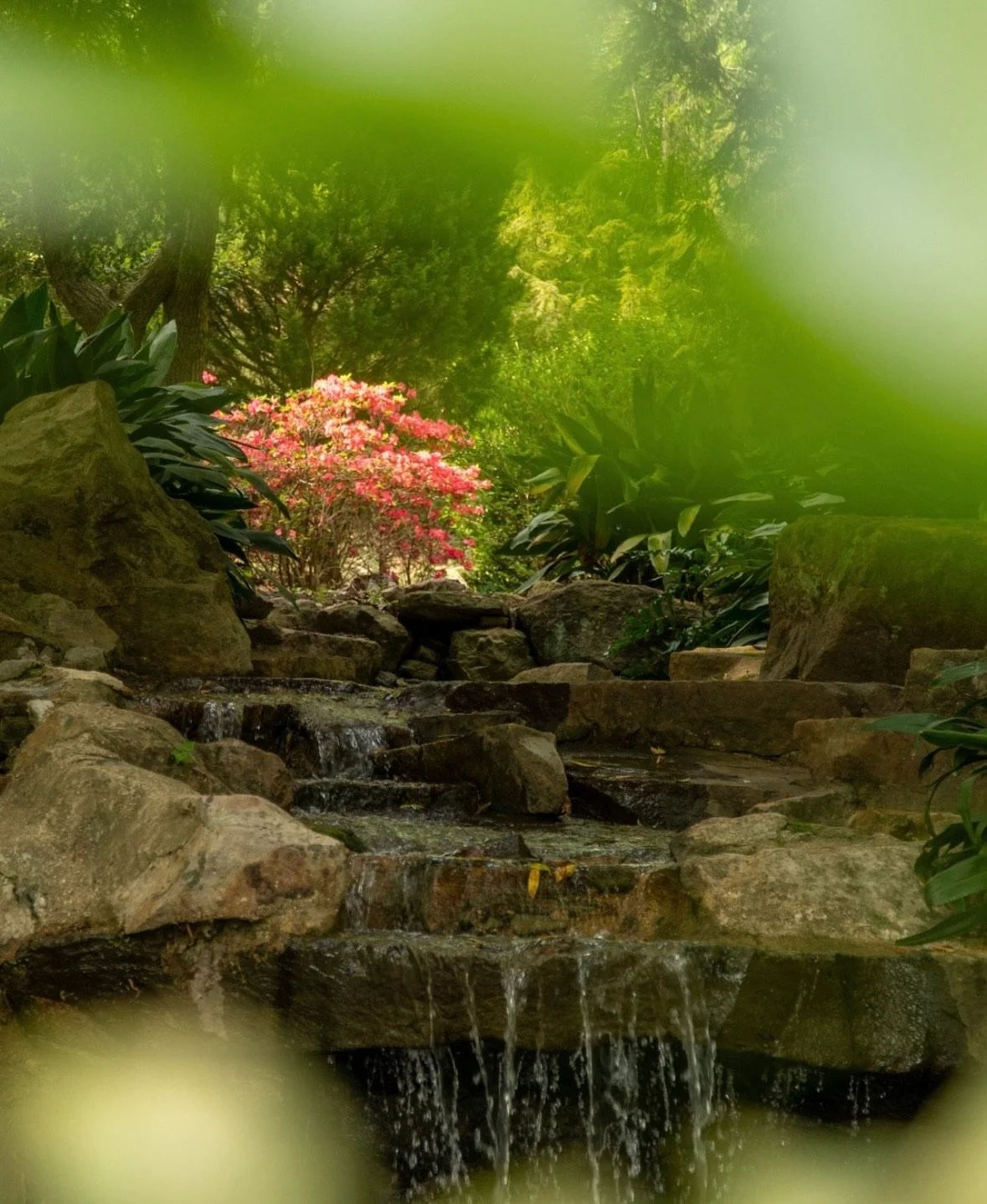 Alabama Aquarium & Pond Services | Explore Aquatic Solutions Today