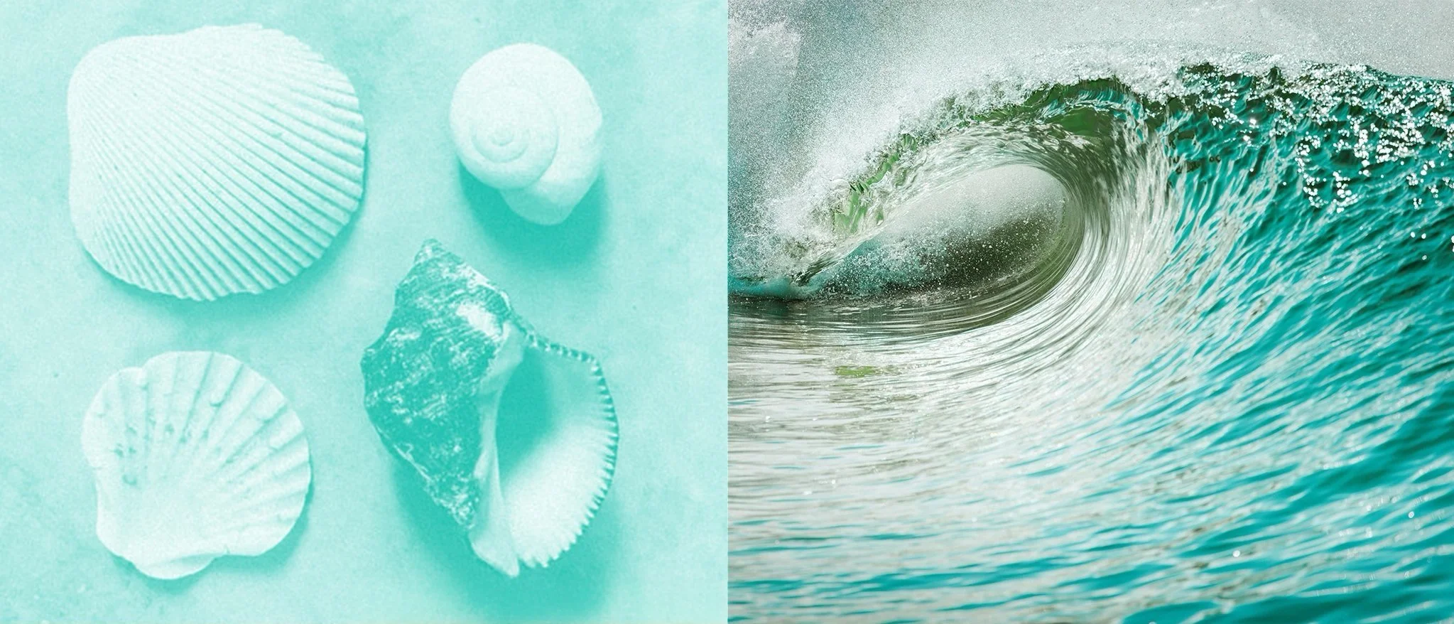 Shell Point Beach & Surf Club