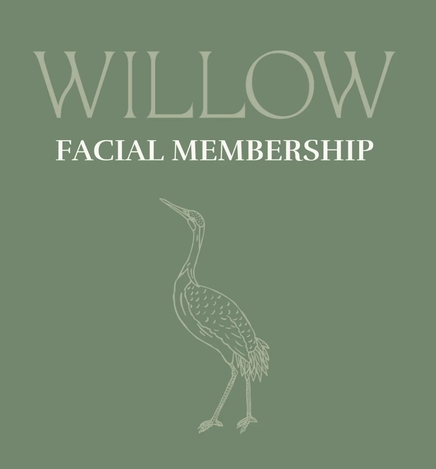 Willow Day Spa