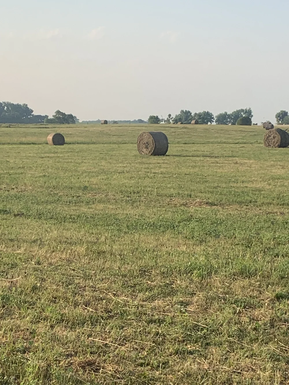 About | Echo, MN — Remmele Custom Beef