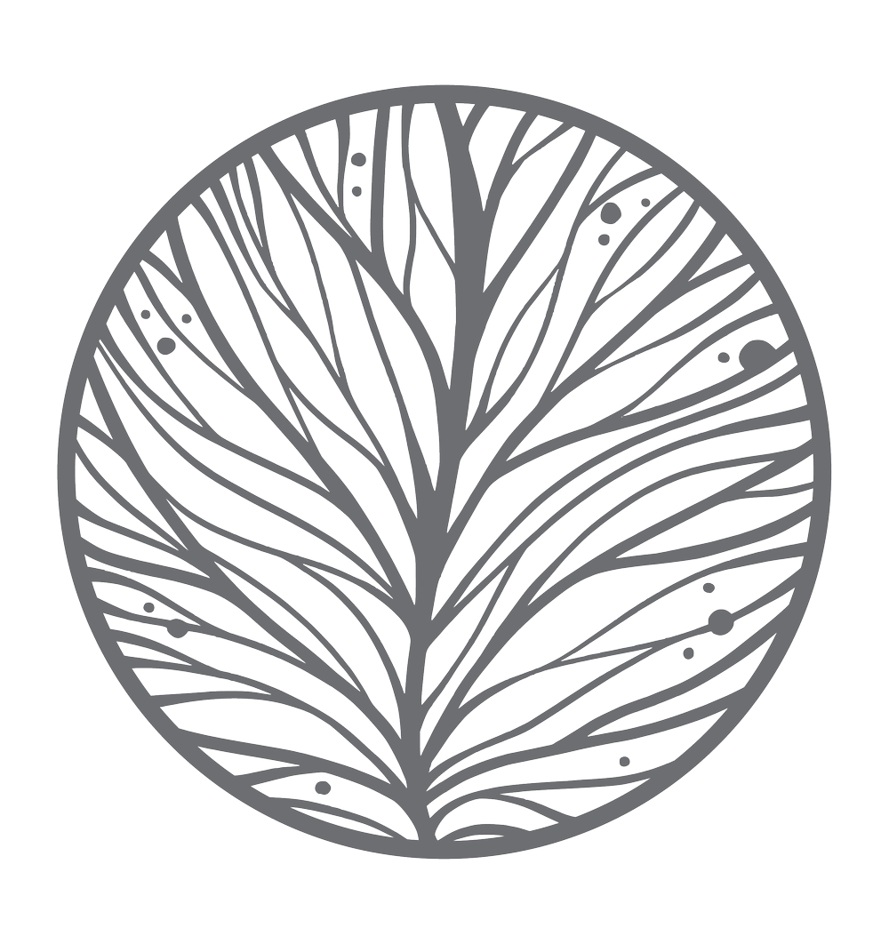 Rainforest Respite | NDIS WELLNESS | RESPITE WELLBEING | SHORT TERM ...