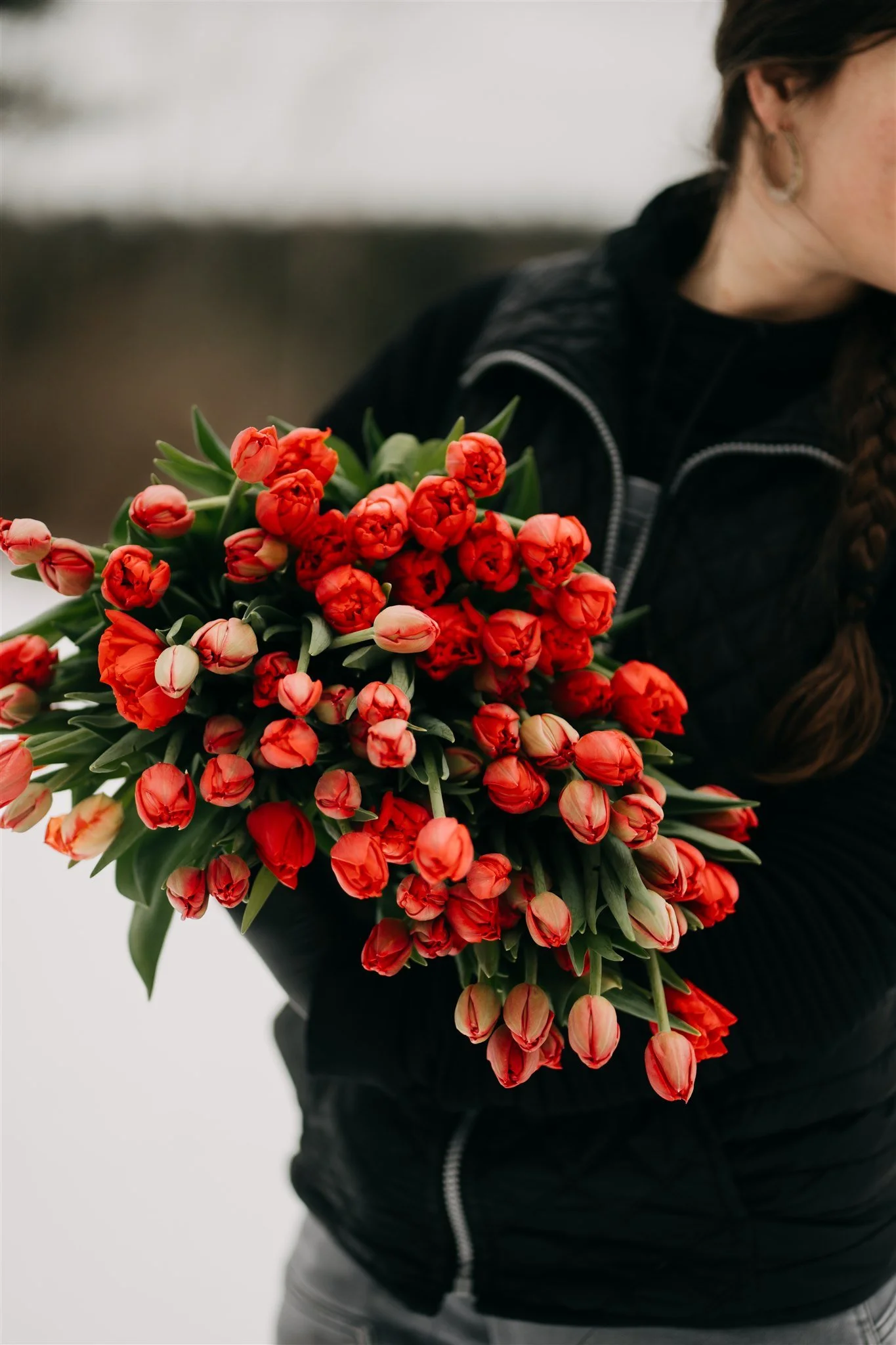 SALE! Bulbs for Valentine’s Day Blooms — Ampersand Bulb Co.