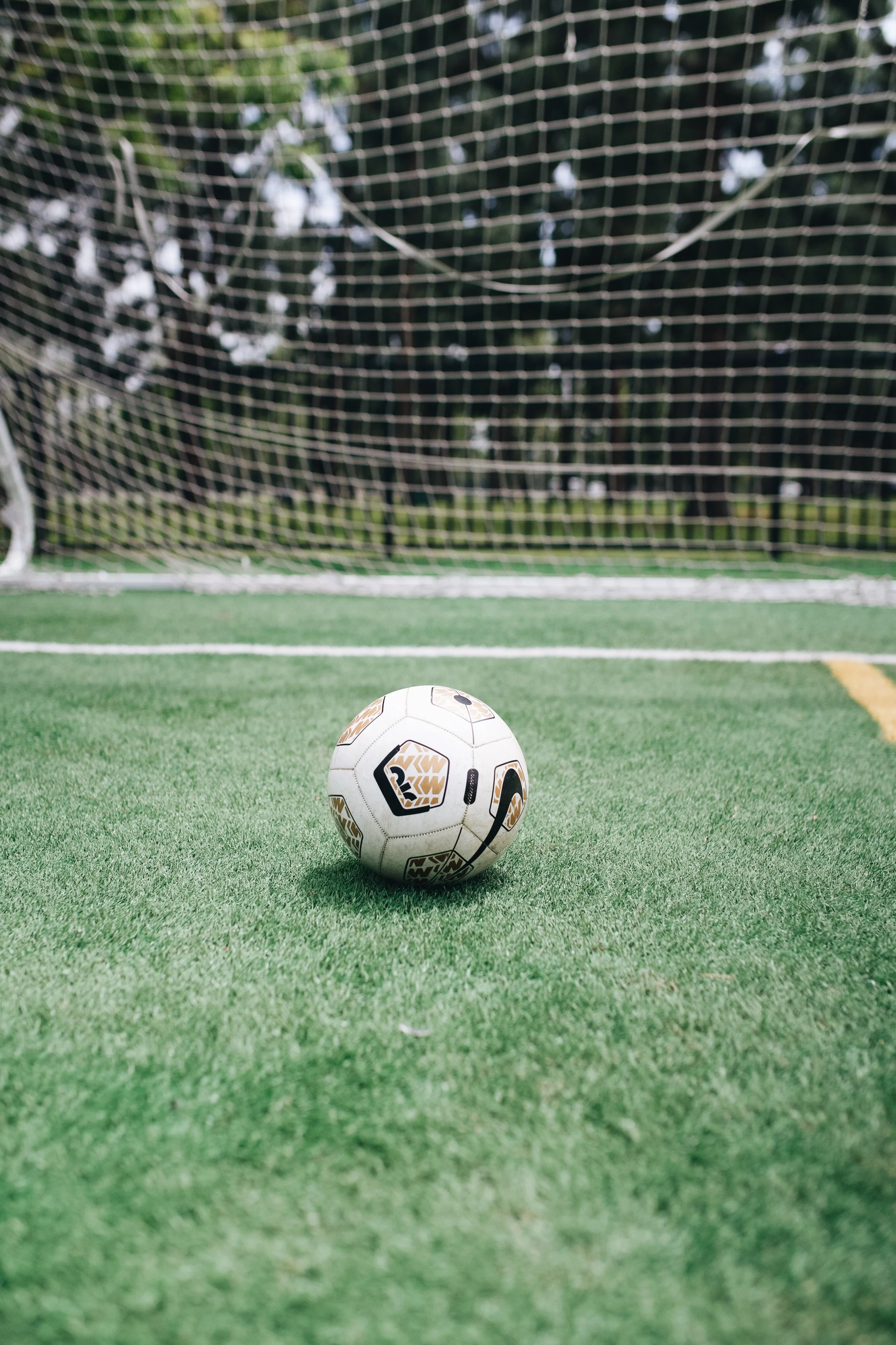 Maestro Football Academy