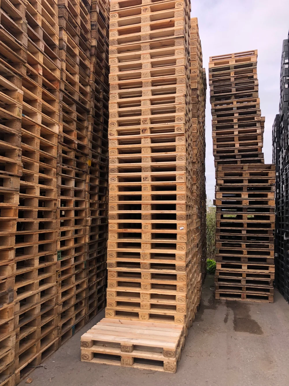 Pallet Sales — ANGLO PALLETS (Copy)