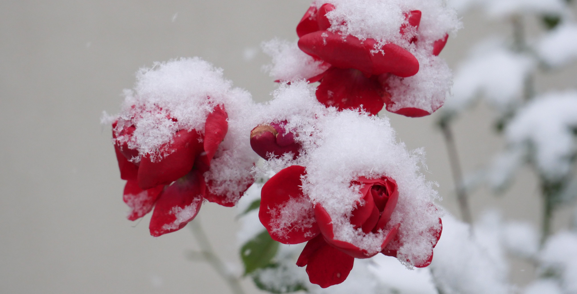 Romantic Things to Do in the Hamptons This February — Hamptons Vacation Inn