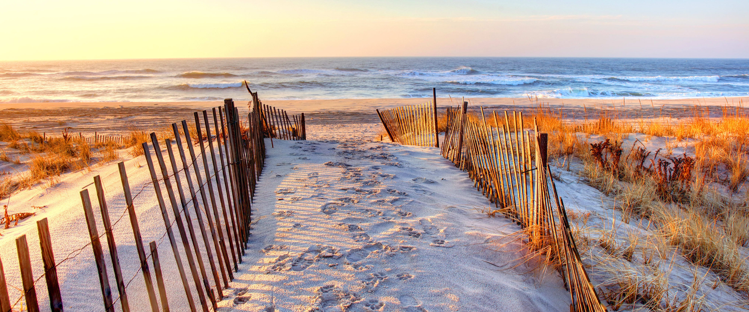Family + Pet-Friendly Stays in the Heart of the Hamptons