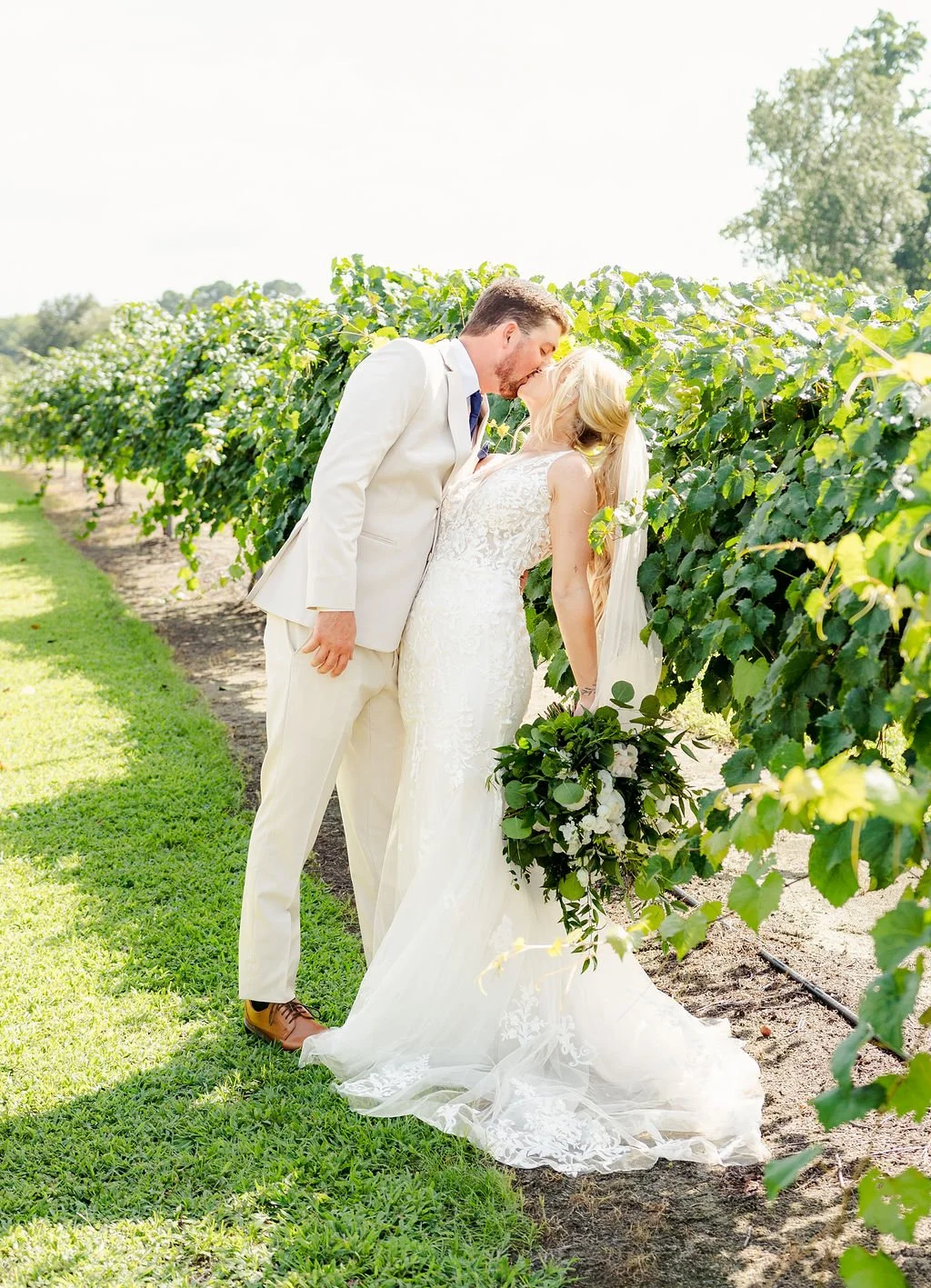 Twisted Vines Vineyard