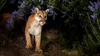 TOFT PHOTO SAFARIS