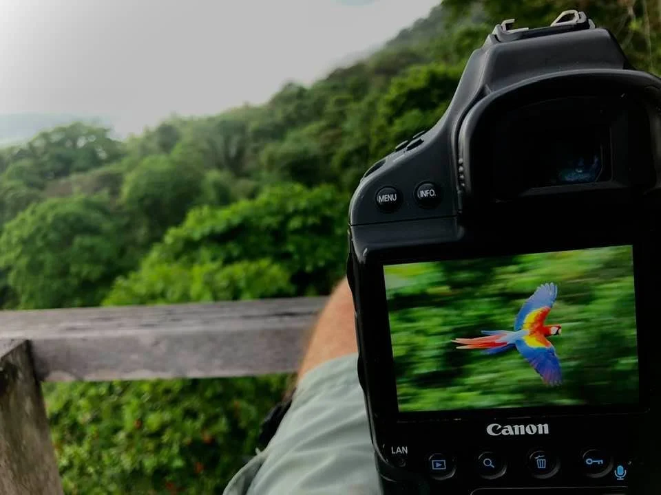 TOFT PHOTO SAFARIS