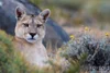 TOFT PHOTO SAFARIS
