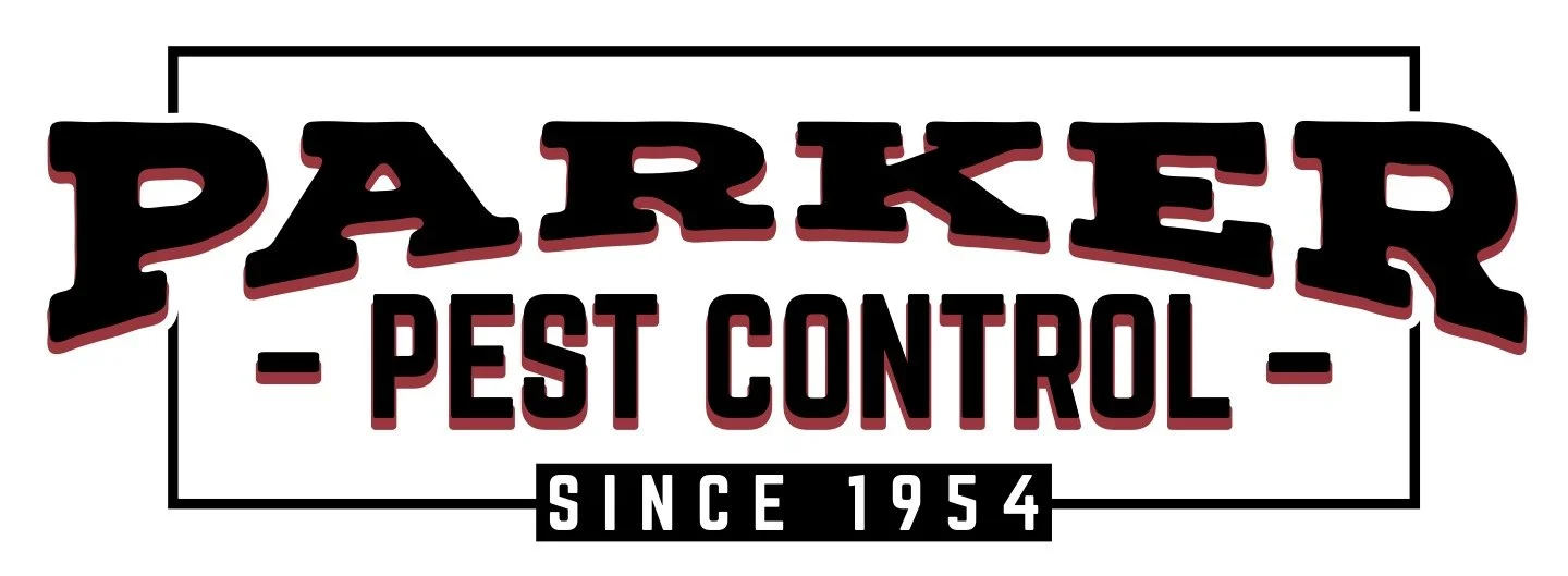 Parker Pest Control | Lake Havasu City AZ Pest Services