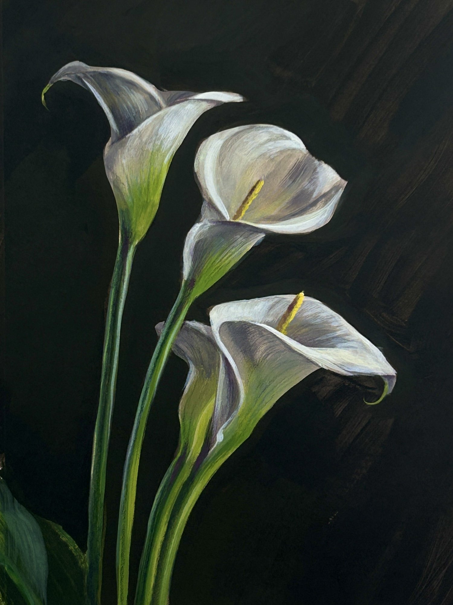 Fantasy Paintings by Vera J Kent