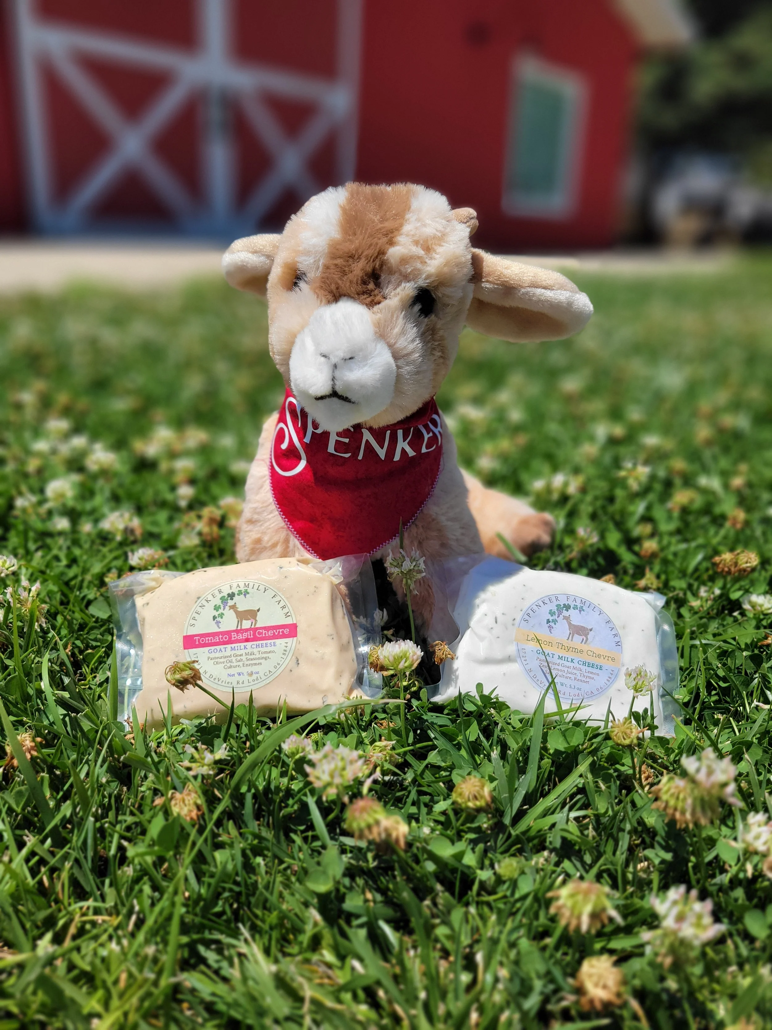 Events at Spenker Family Farm — Spenker Family Farm