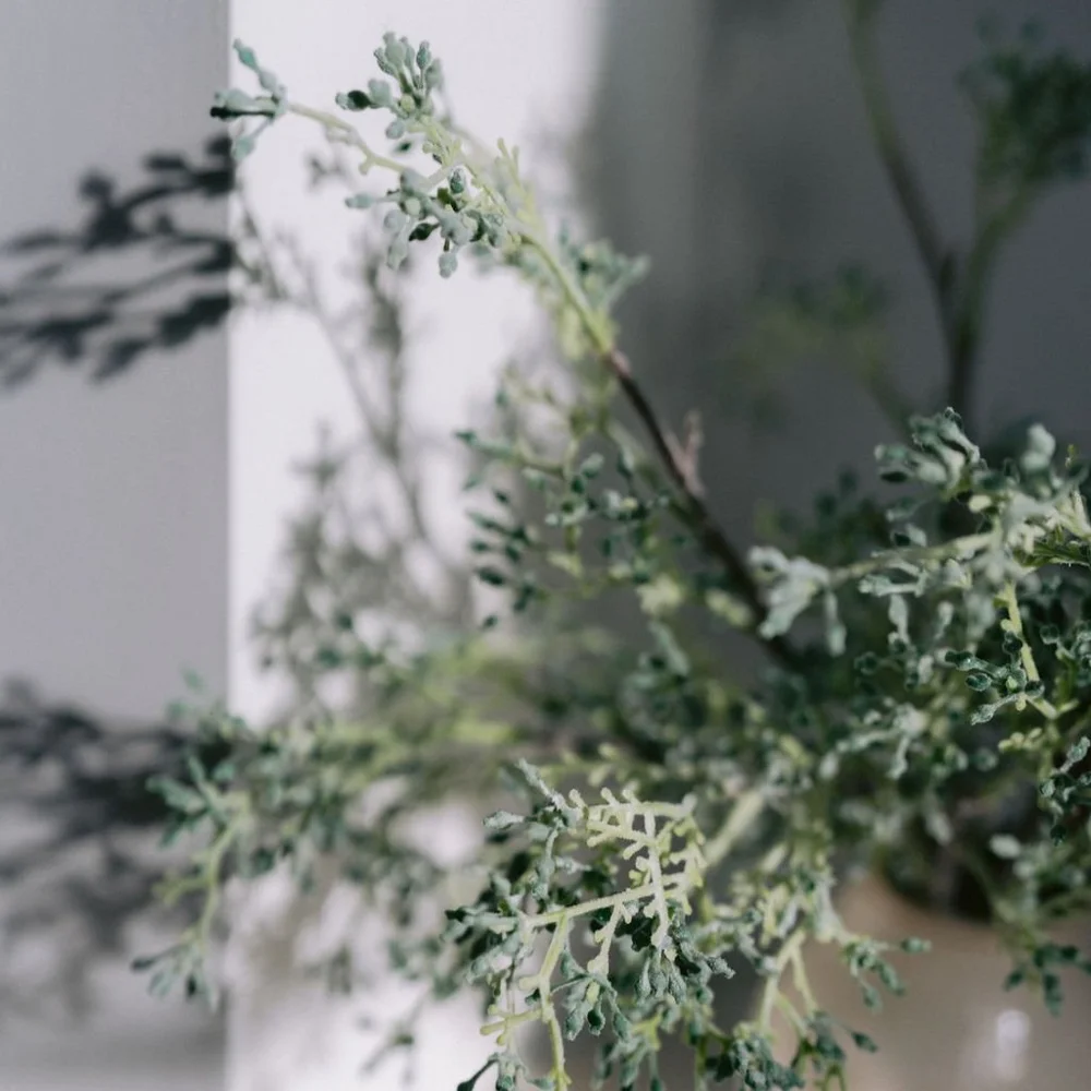 Elliott Tate Design | Virginia Based Interiors Firm