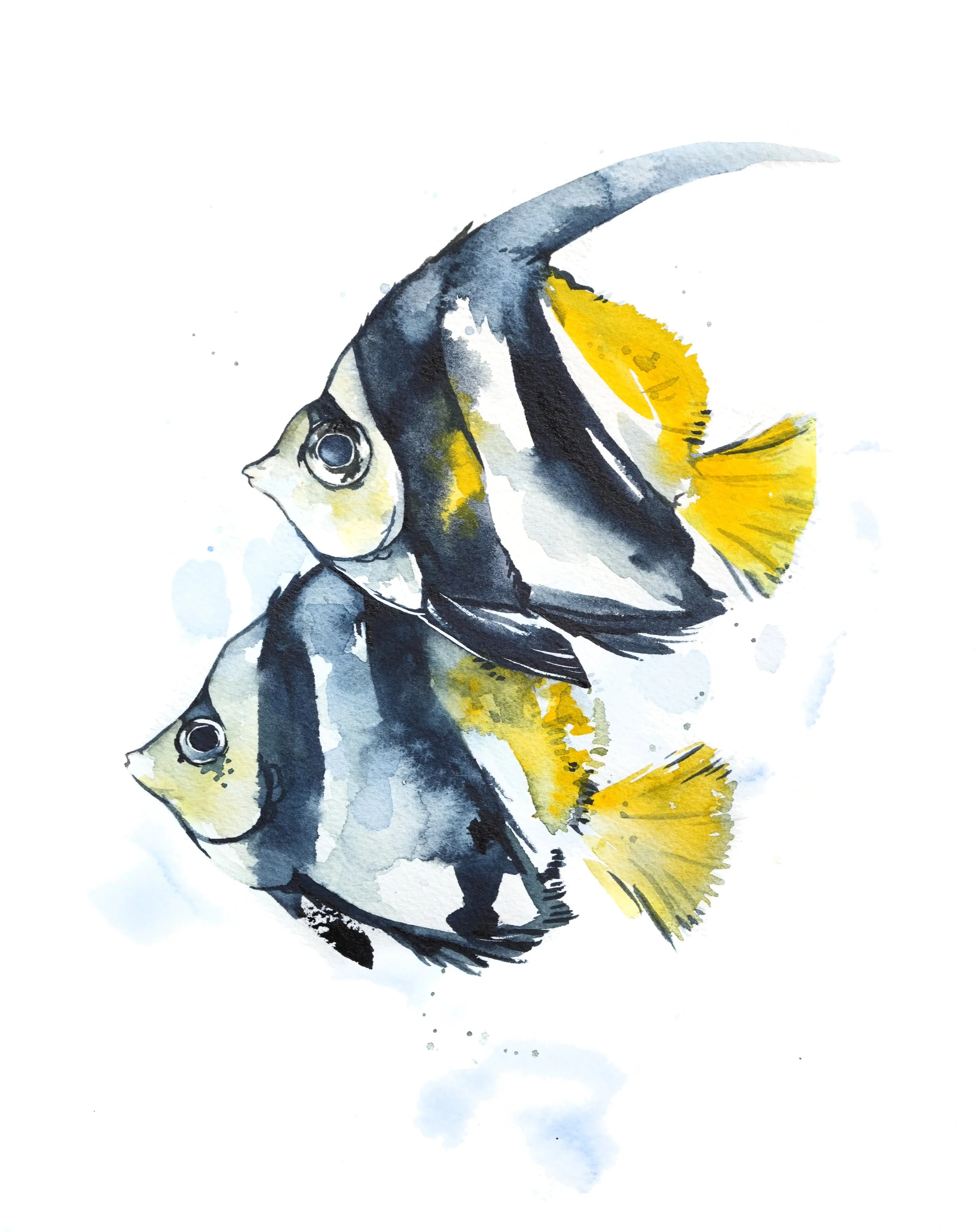 Gallery 1 — Painted Wing