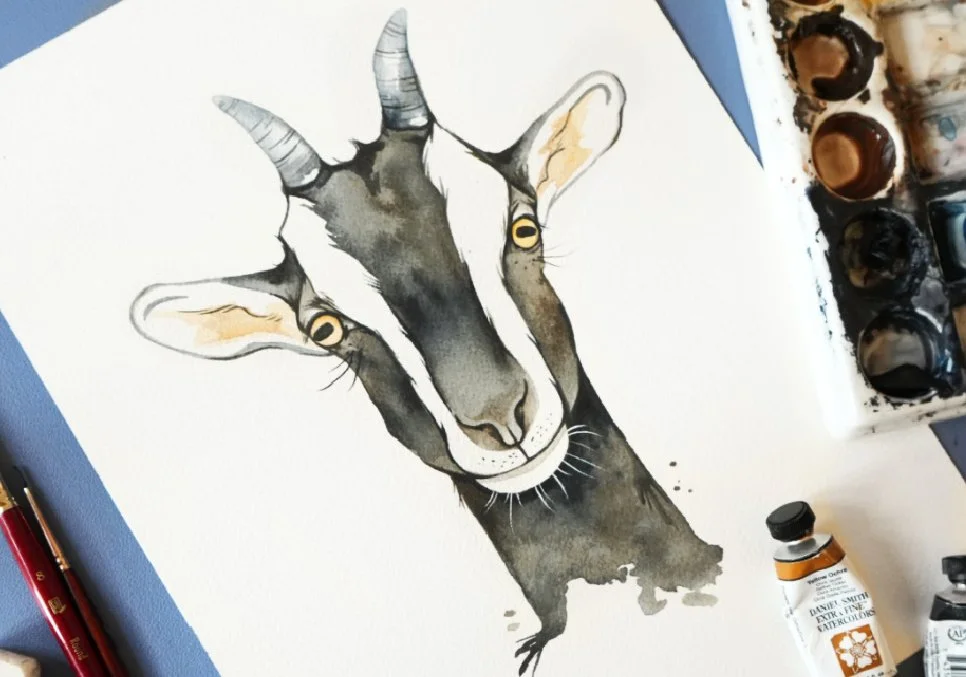 Order Book — Painted Wing