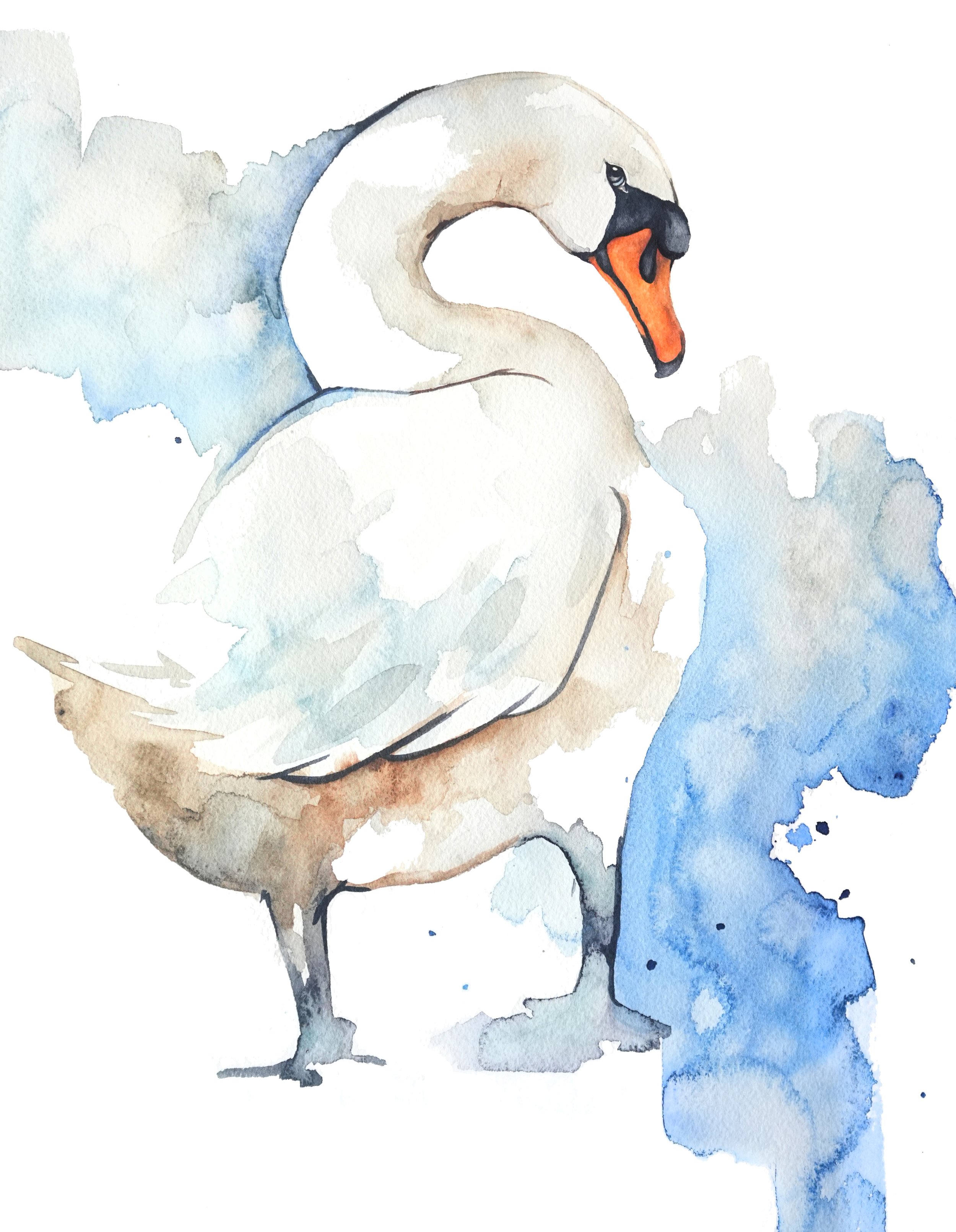 Gallery 1 — Painted Wing