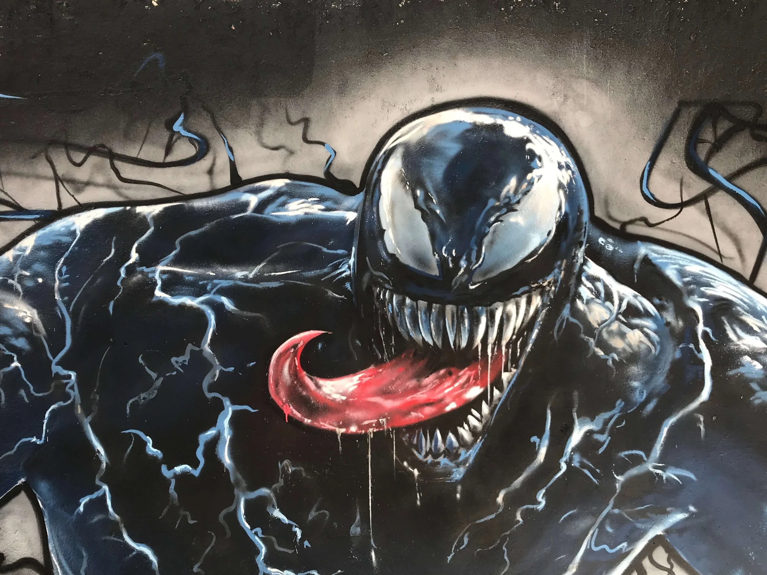 &flix X Venom | Floating Canvas Company