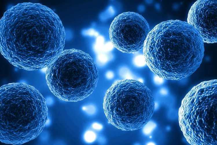 BCMA Vectors and CAR T Therapy: Buying, Costs, and Training in China ...