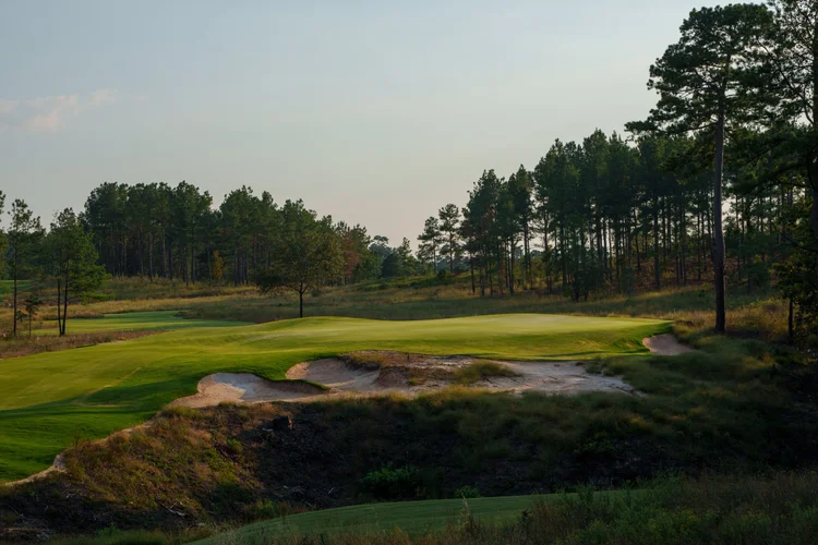 Wild Spring Dunes