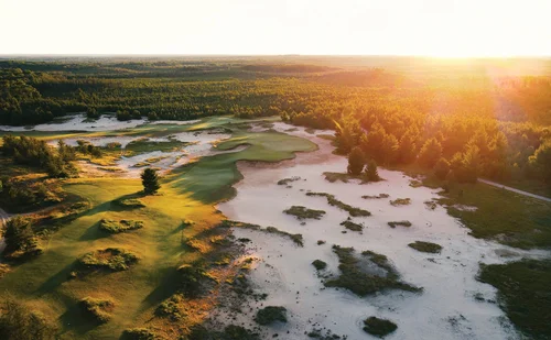 Wild Spring Dunes