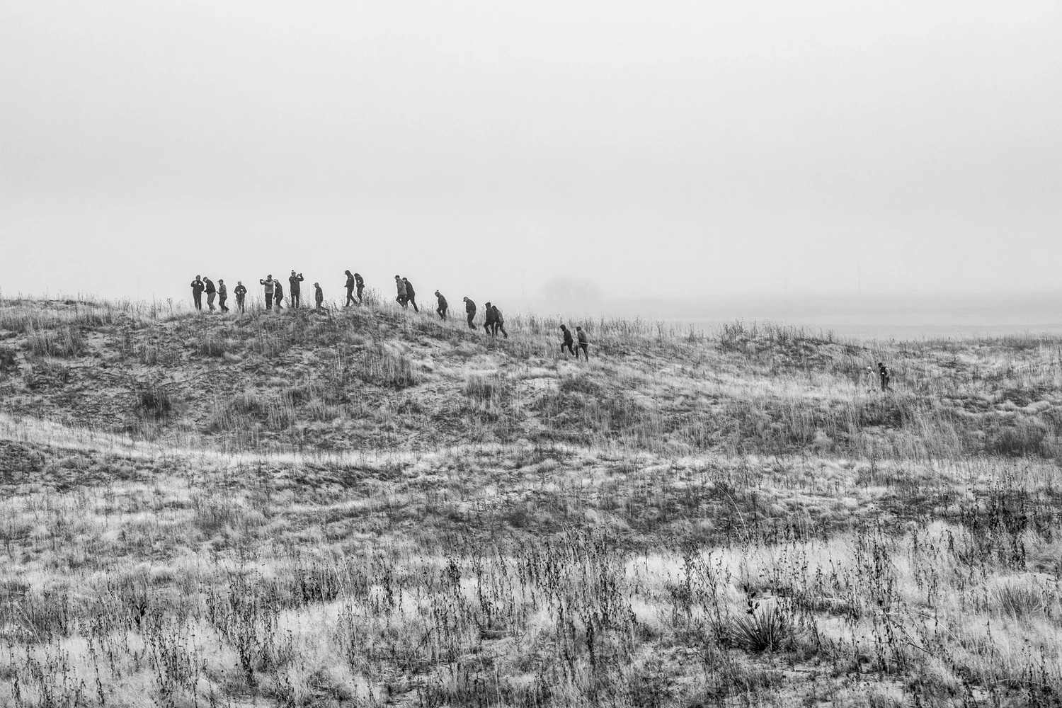 Founders — Wild Spring Dunes