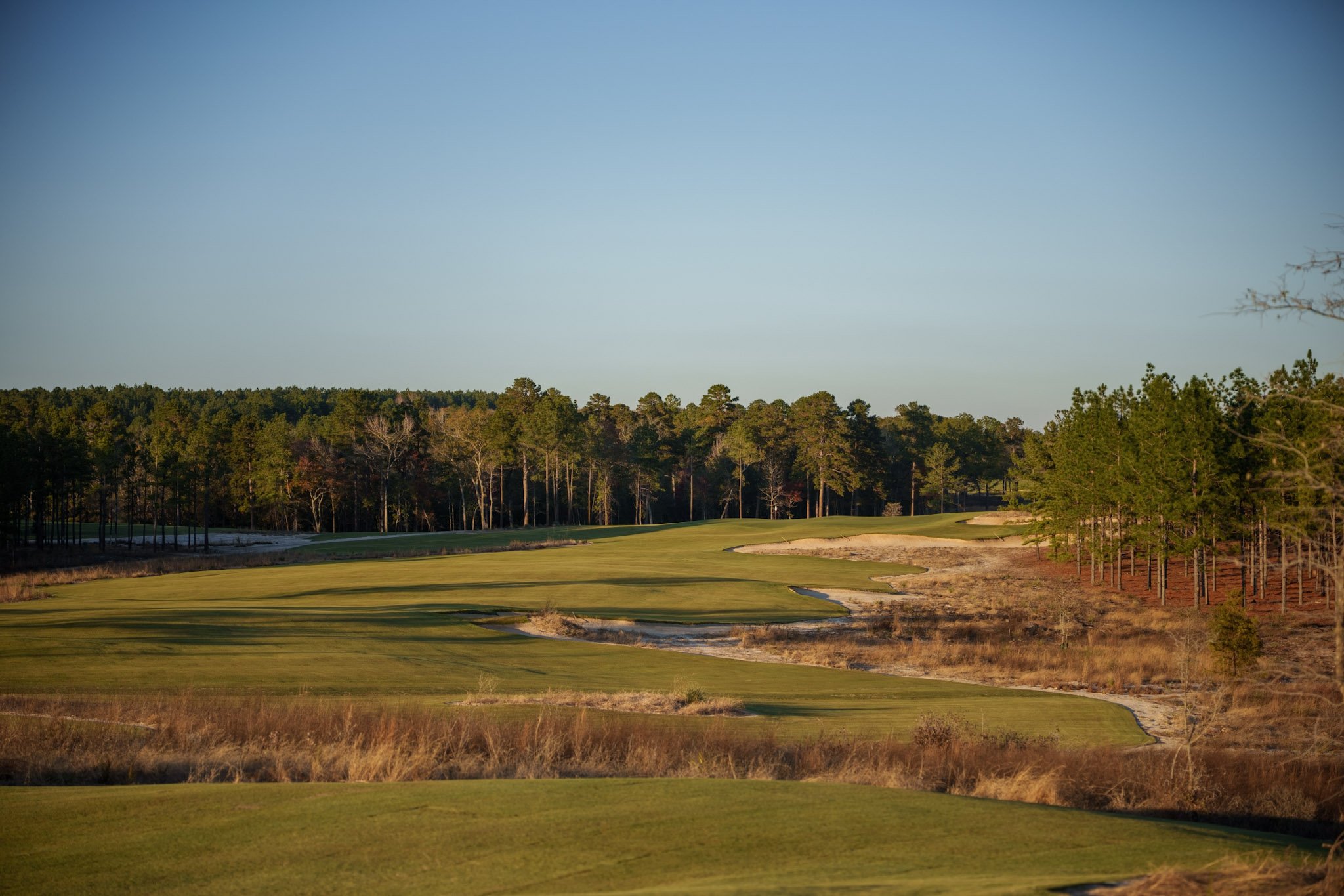 Wild Spring Dunes