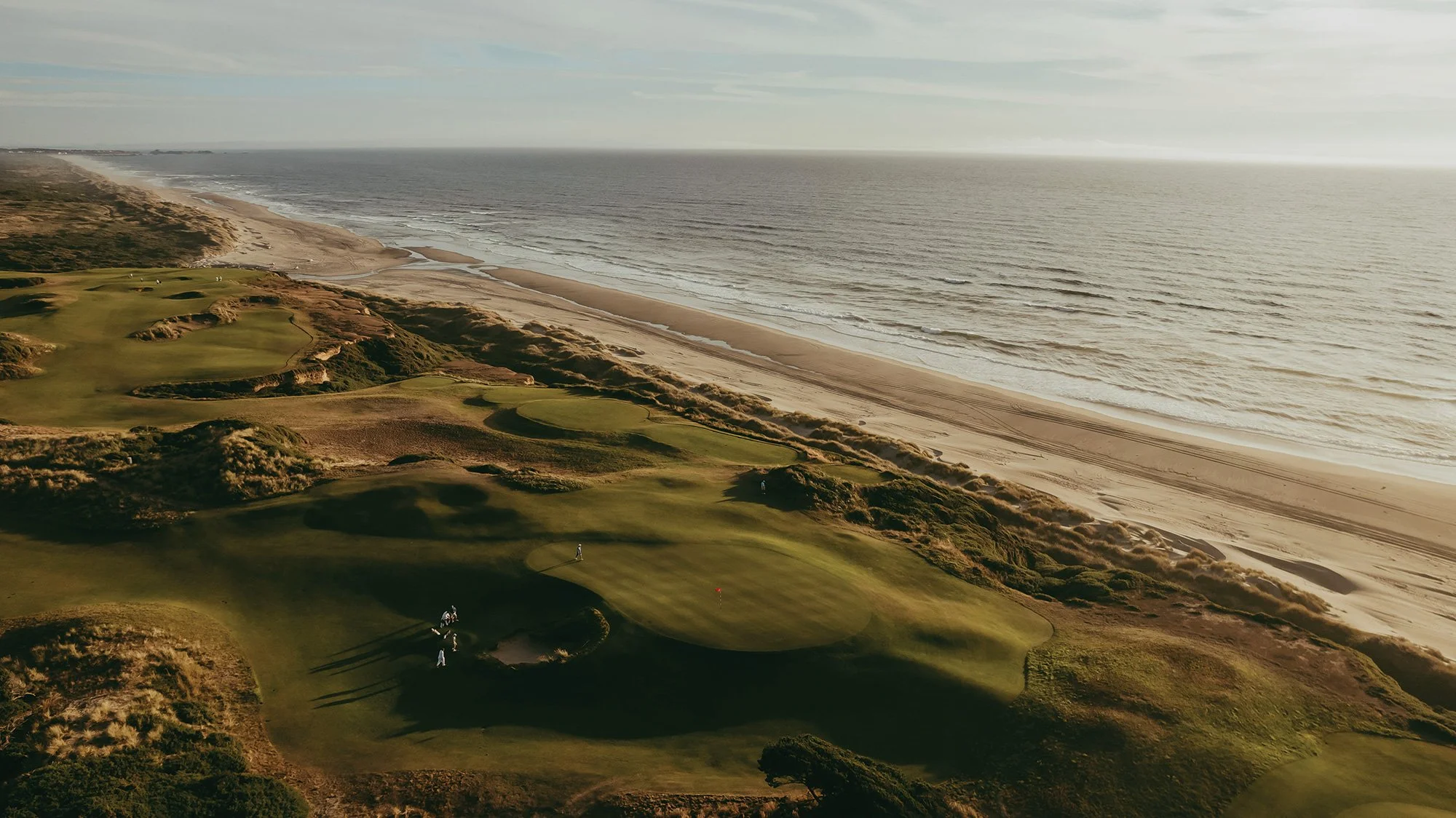NEW HOME PAGE — Wild Spring Dunes