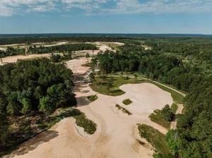 Wild Spring Dunes