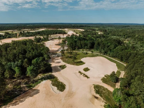 Wild Spring Dunes