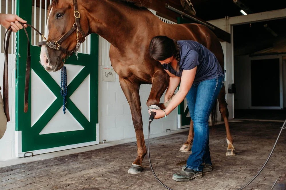 Two Shades of Blue Equine Performance Rehab