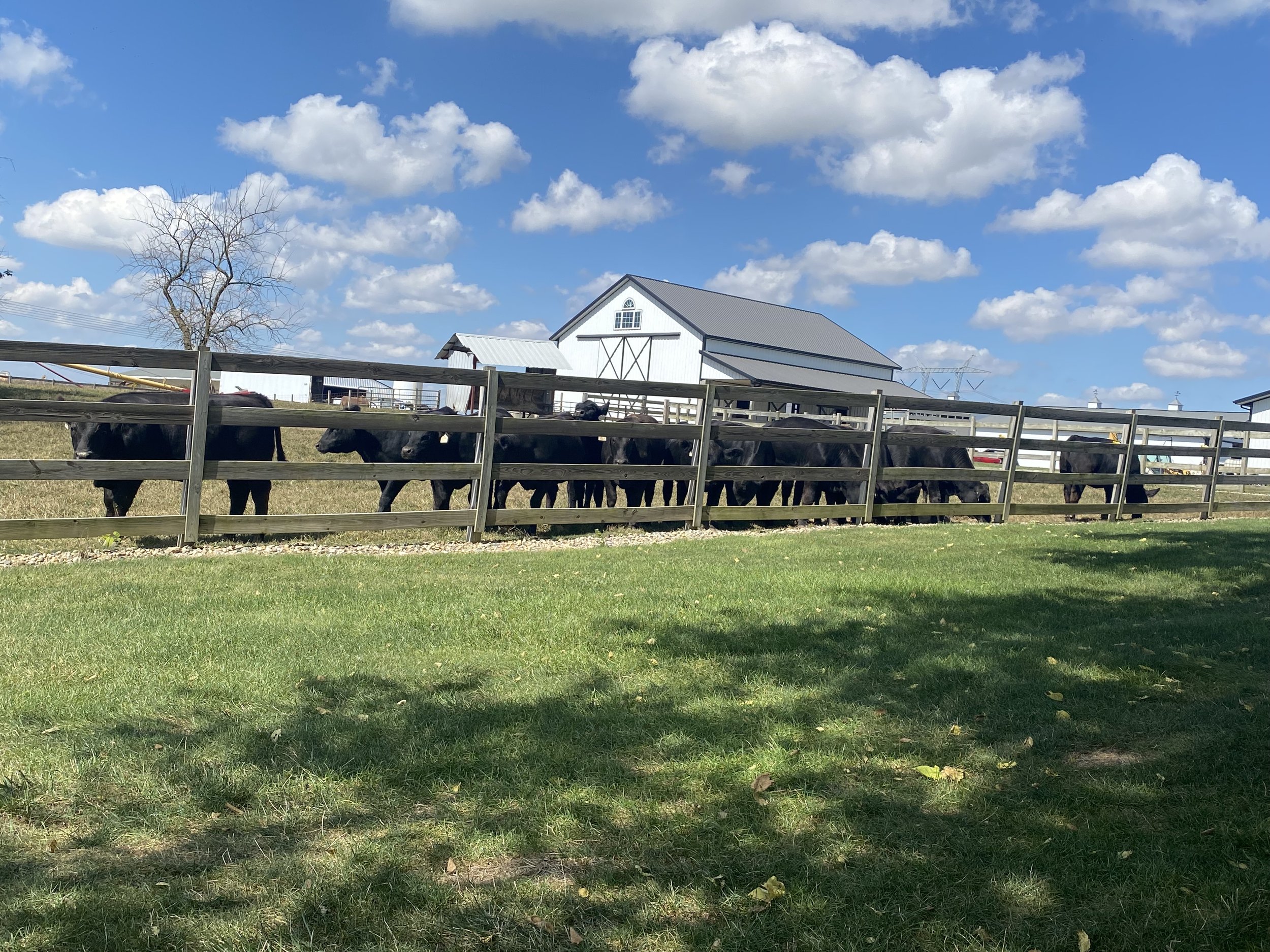 Contact | Noblesville, IN — Sheller Family Foods