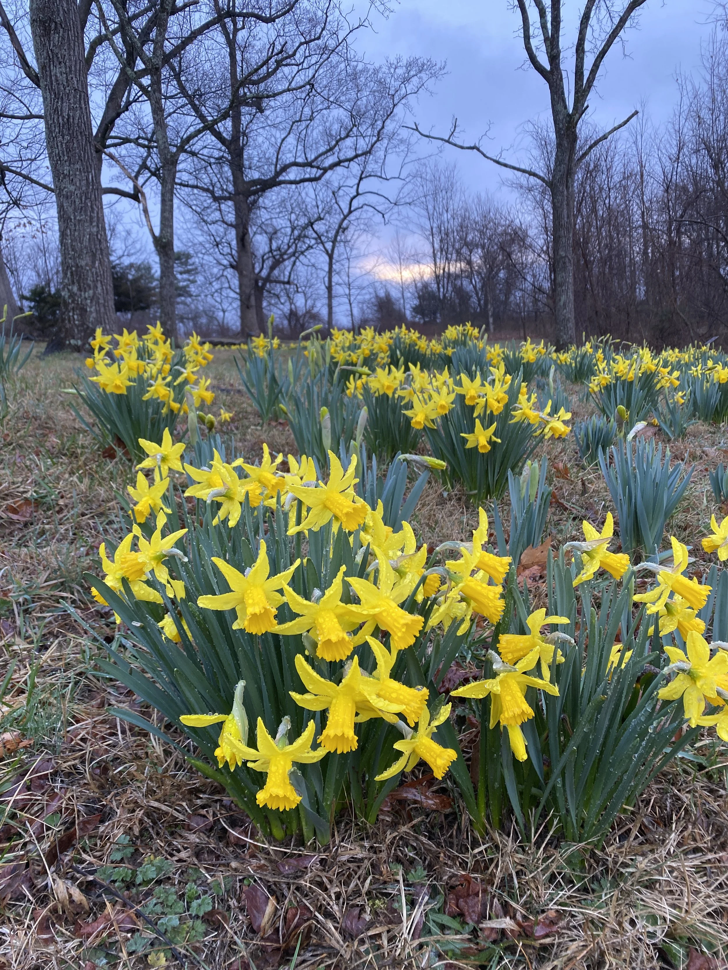 Volunteer Opportunities | Find meaningful work in the mountains of ...
