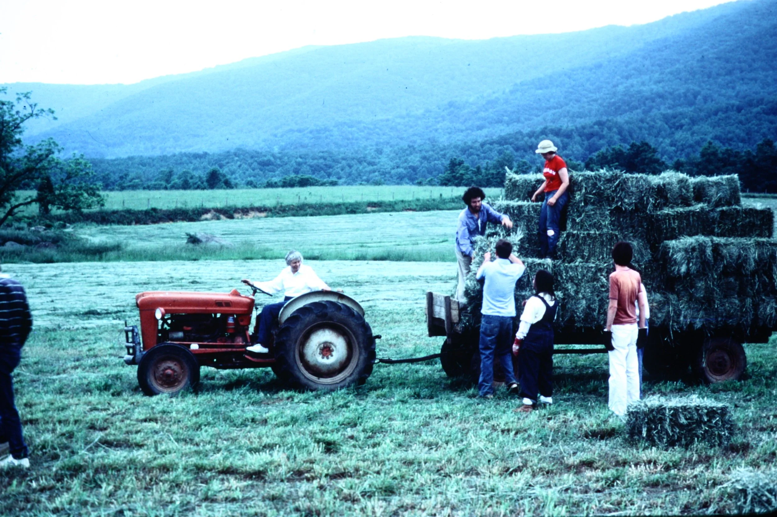 History | Discover Our History Today — Innisfree Village