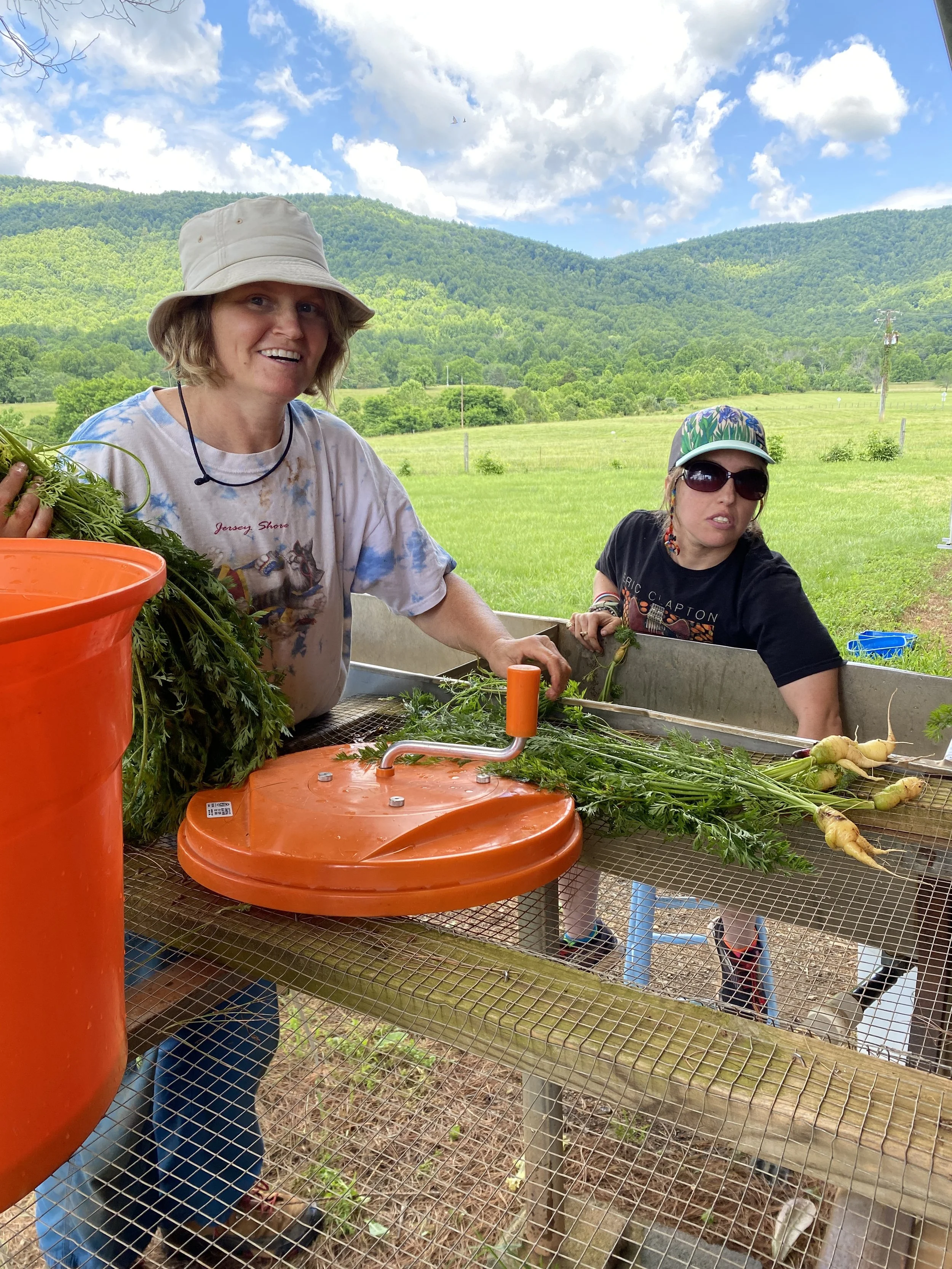 Vegetable Garden — Innisfree Village