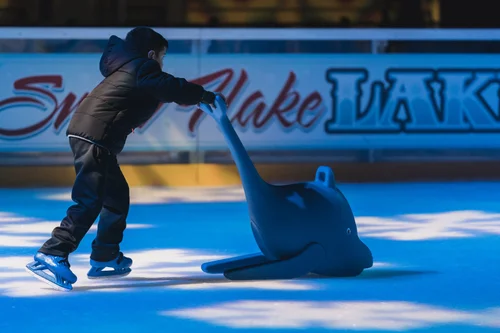 about — Precision Ice Rinks