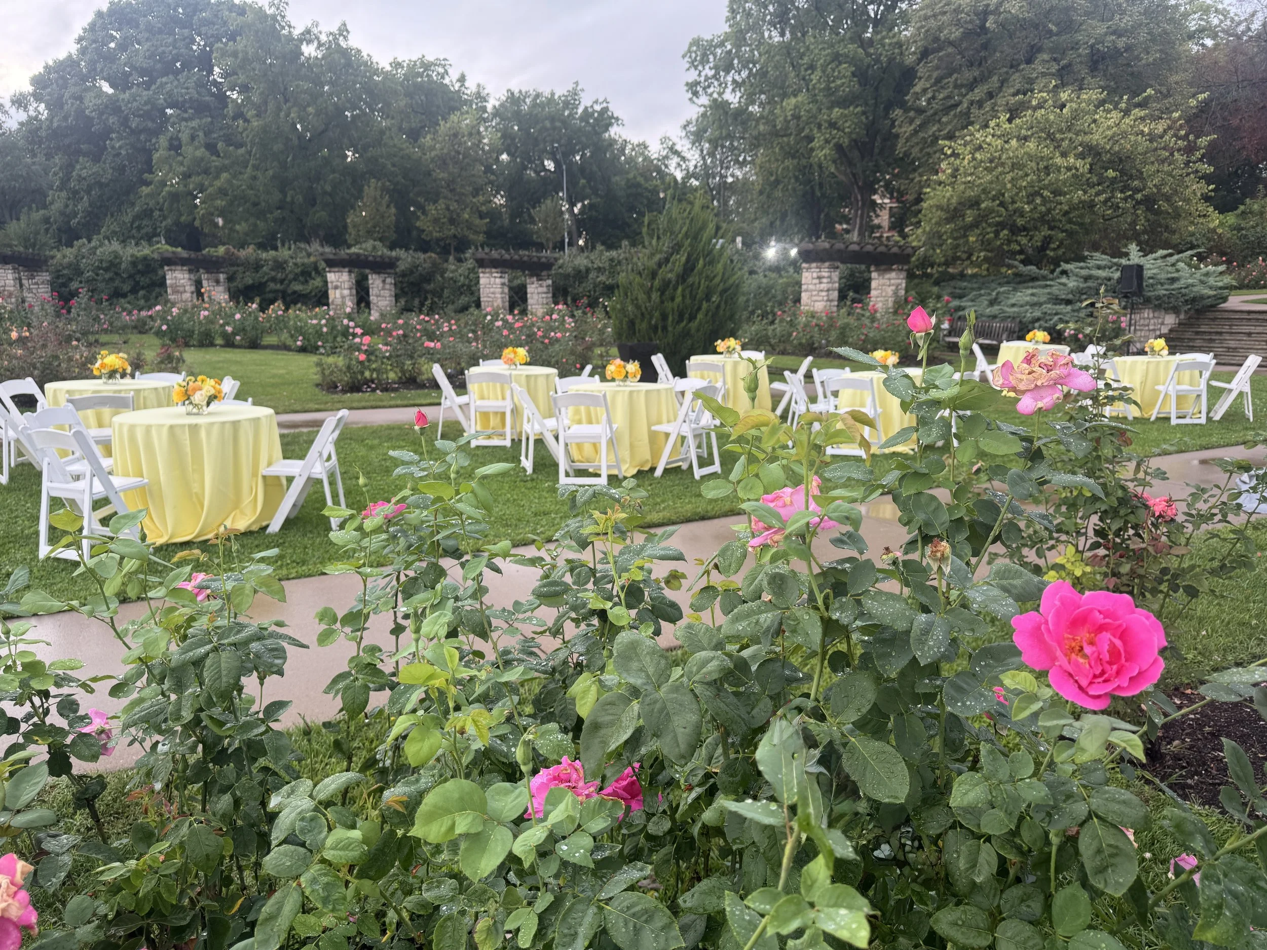 Wine & Roses — Kansas City Rose Society