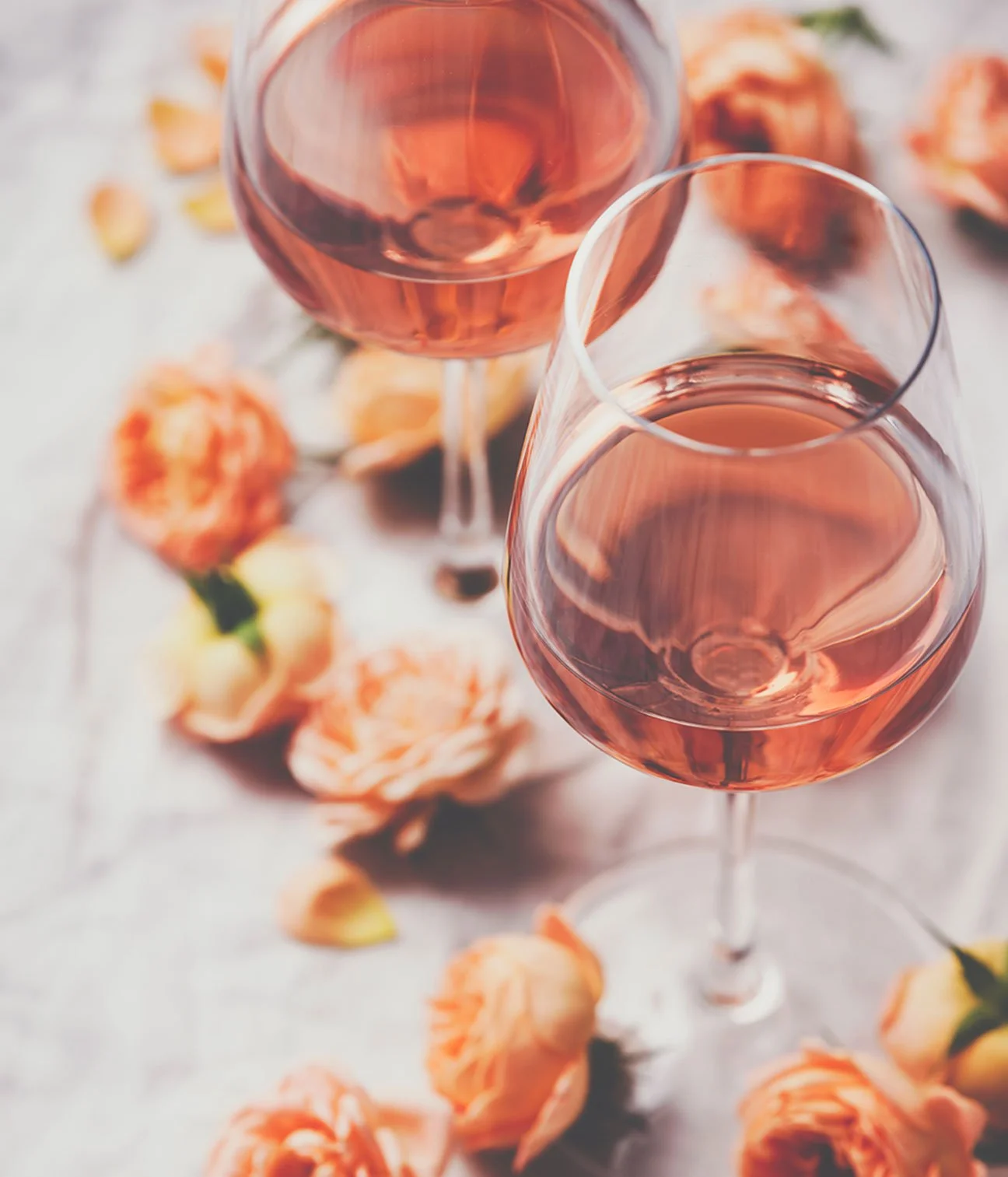 Wine & Roses — Kansas City Rose Society