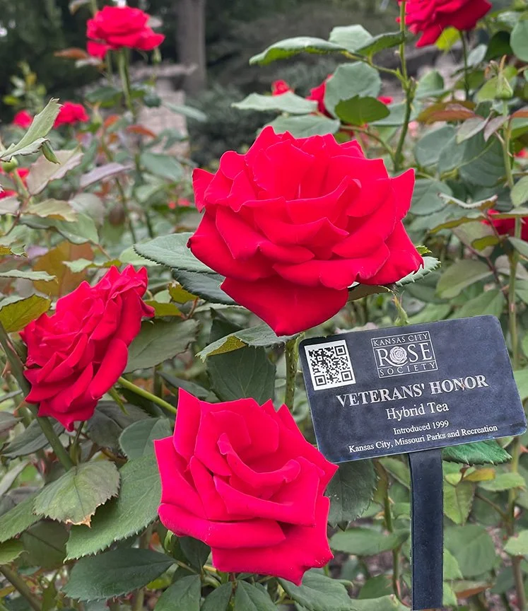 About the Rose Library — Kansas City Rose Society