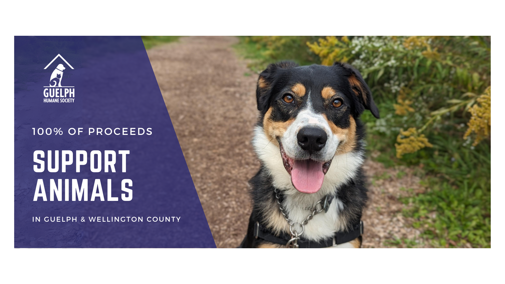 The Guelph Humane Society Happy Tails Boutique