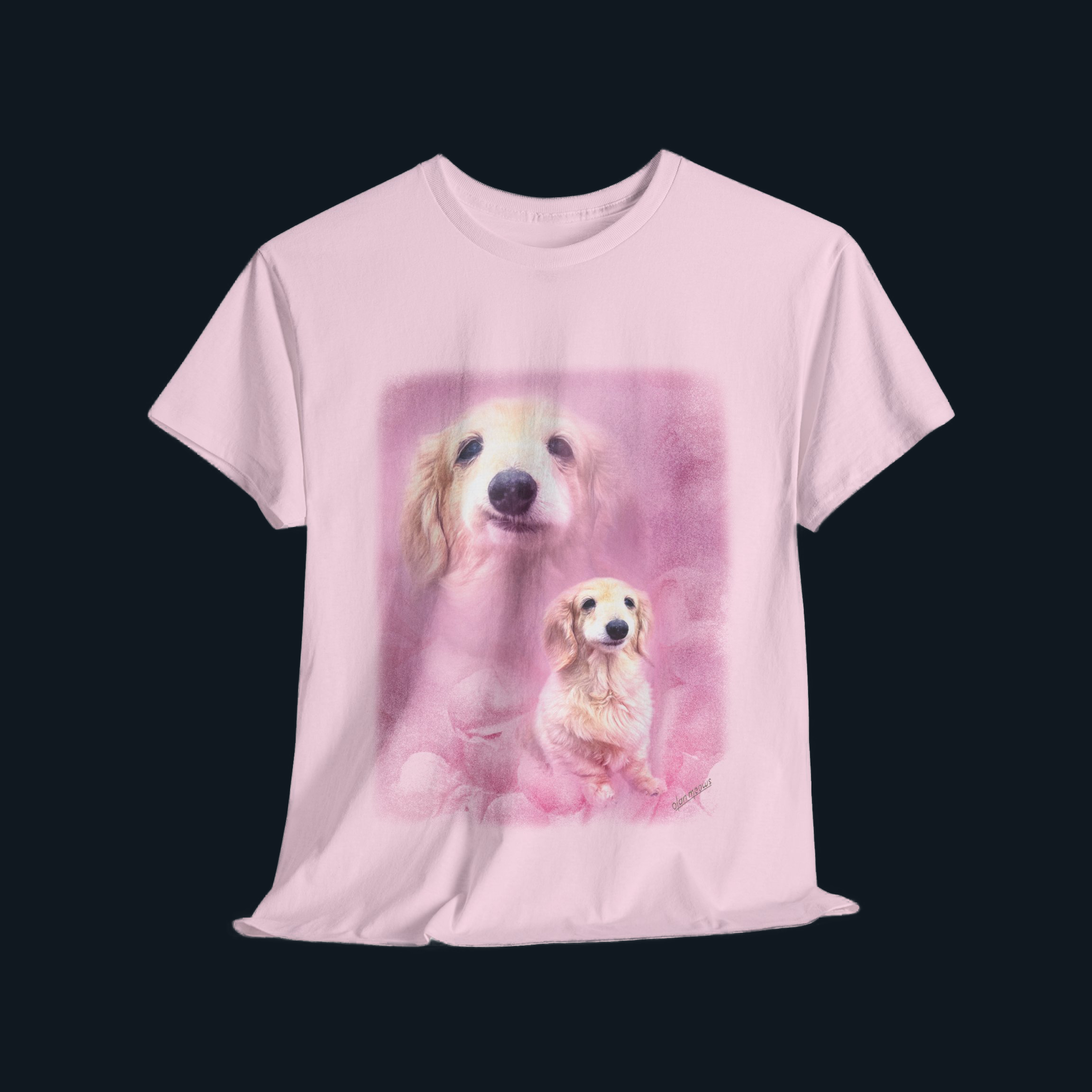 Olan Meows | Custom Pet Portraits