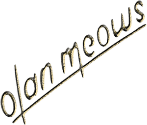 Olan Meows | Custom Pet Portraits