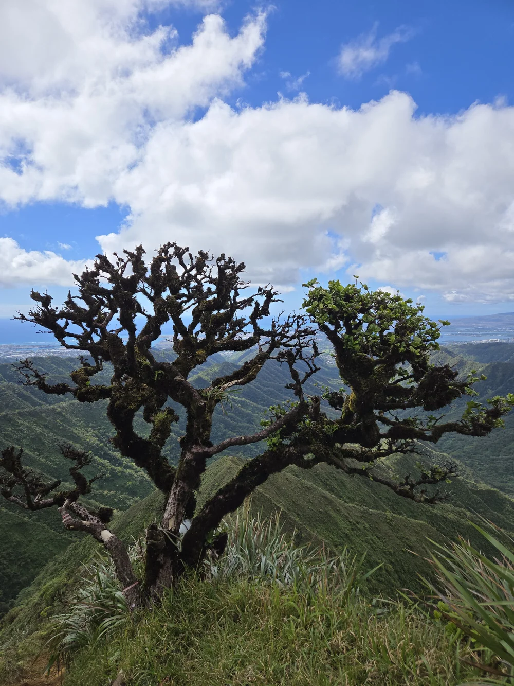 How to Hike Oahu’s Stairway to Heaven (Haiku Stairs) in 2025 — Oahu ...