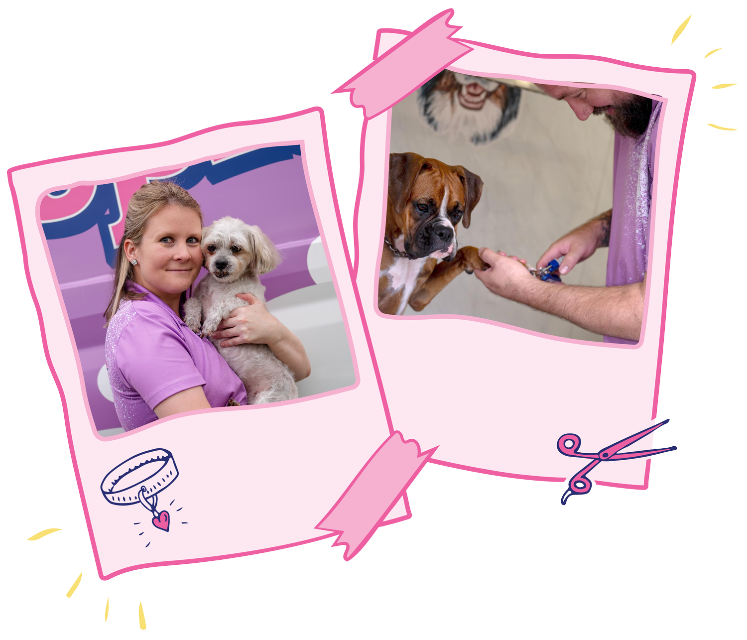 Contact Splish Splash Dog Groomers for the ultimate dog grooming ...