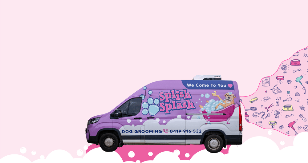 About Splish Splash Dog Groomers - Your Passionate Pet Care Experts in ...