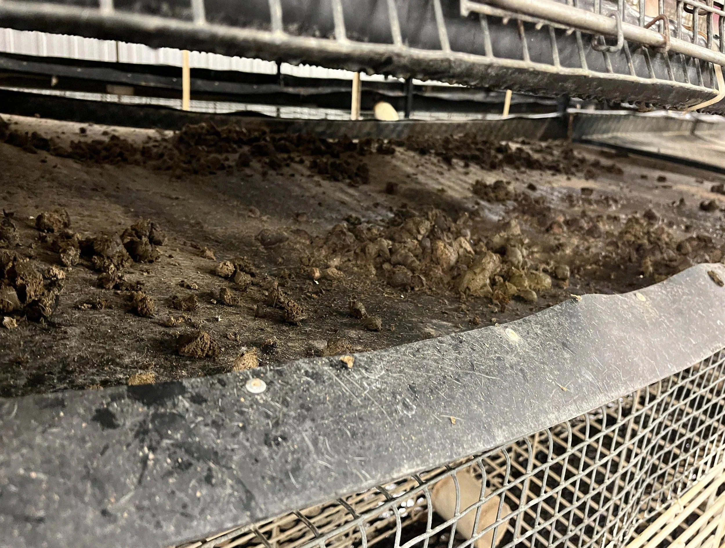Ridglan Farms — Dane4Dogs