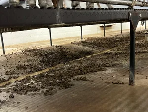 Ridglan Farms — Dane4Dogs