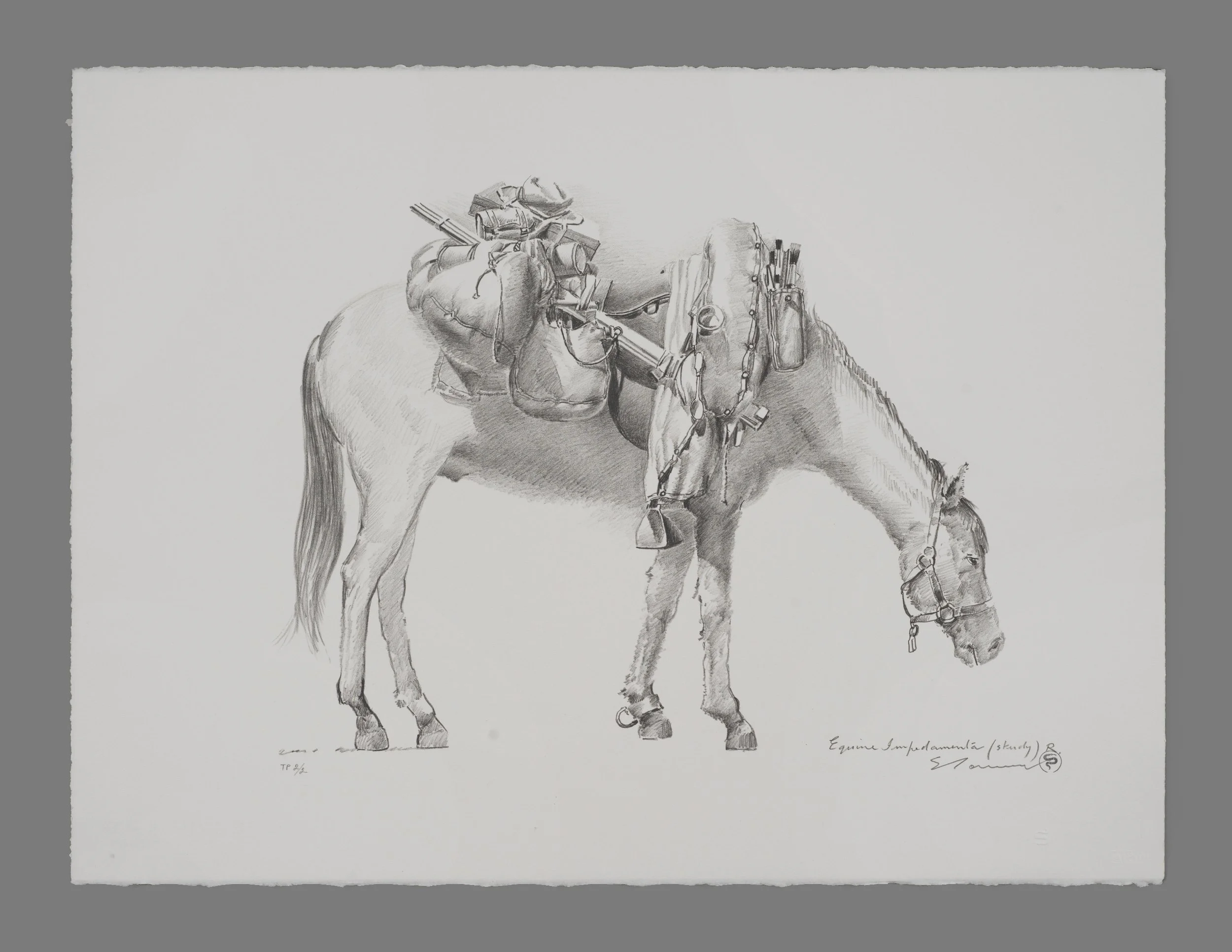Equine Impedimenta (study) Right - Grey, 2023 | Limited Edition ...