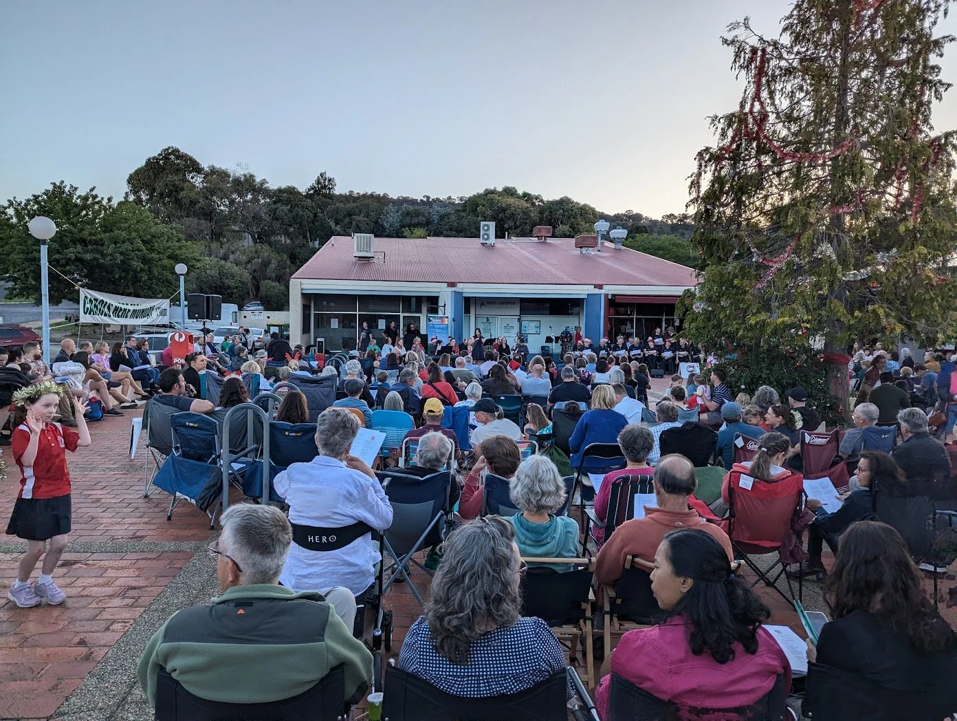 Fiona Carrick Independent