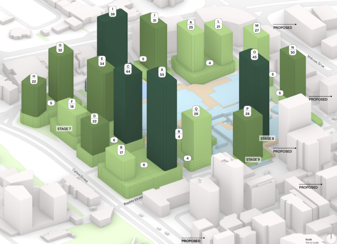 Current Campaigns — Fiona Carrick Independent